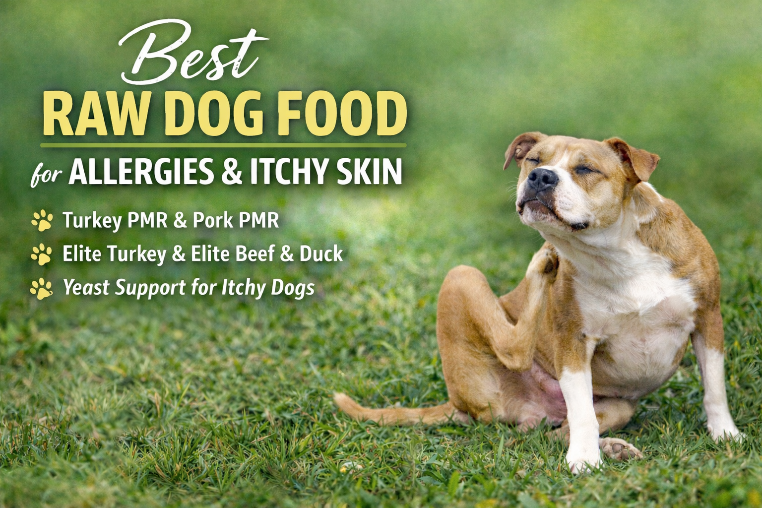 Best Raw Dog Food for Allergies and Itchy Skin | What to Feed + Avoid ...